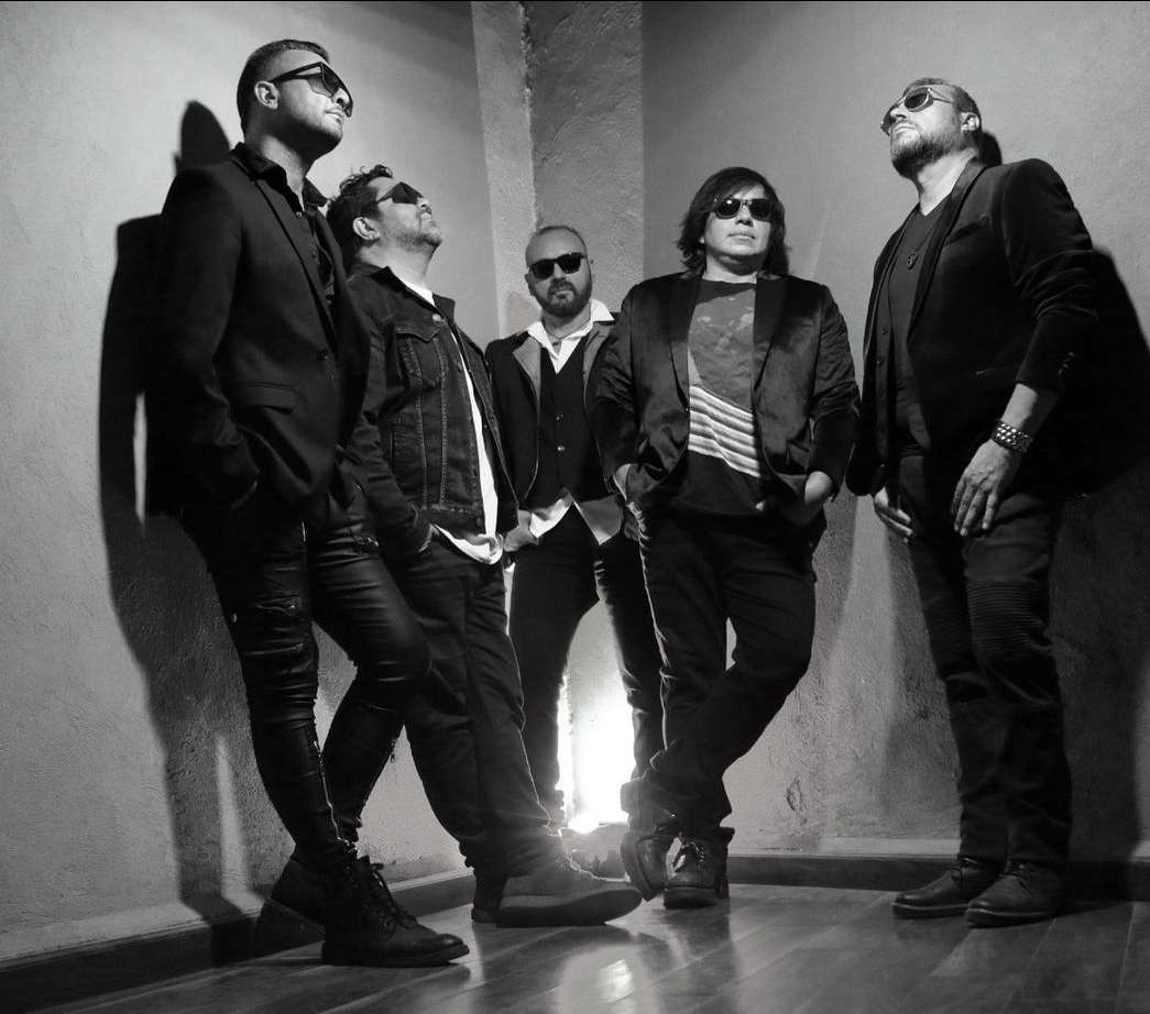 Contratación de Elefante | Cuanto cobra por concierto